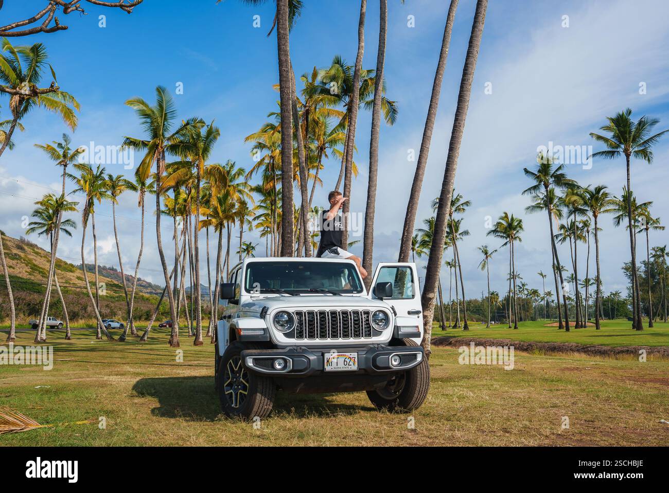 White Jeep Parked Among Palm Trees with Rolling Hills in Hawaii Stock ...