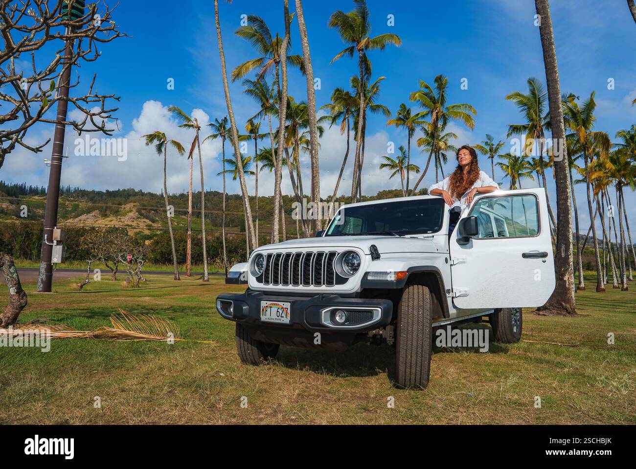 White Jeep Parked Among Palm Trees with Rolling Hills in Hawaii Stock ...
