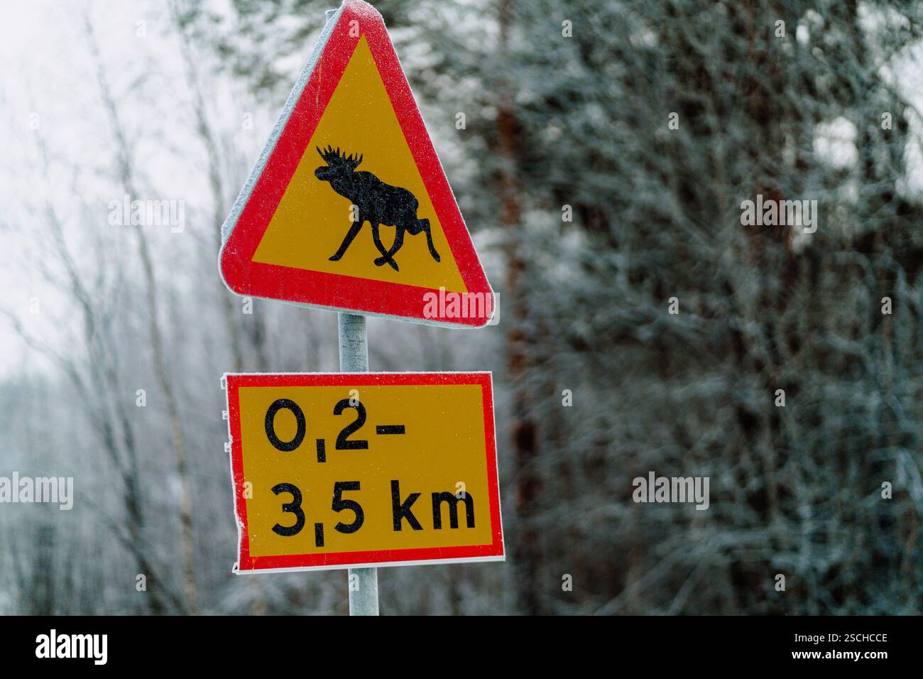 Moose crossing sign in a forest hi-res stock photography and images - Alamy