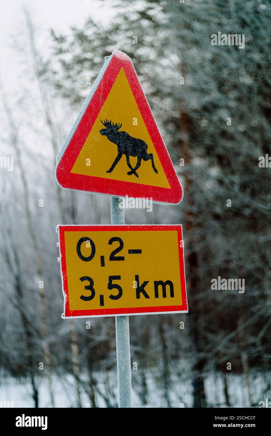 Moose crossing sign in a forest hi-res stock photography and images - Alamy