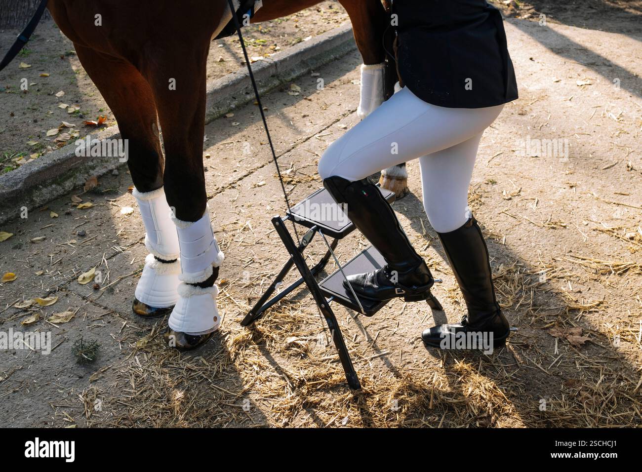 Rider in traditional dressage attire prepares to mount a horse using a ...