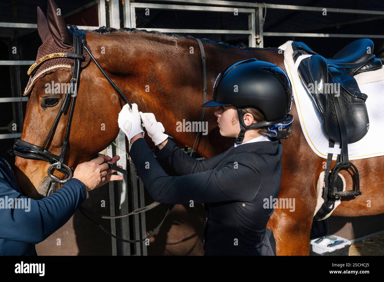 A rider in formal attire and helmet prepares a horse for a classical ...