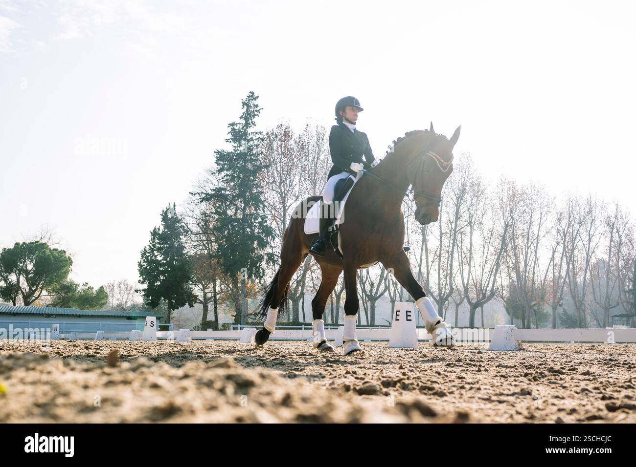A dressage rider skillfully guides a horse in a sunlit arena with a ...