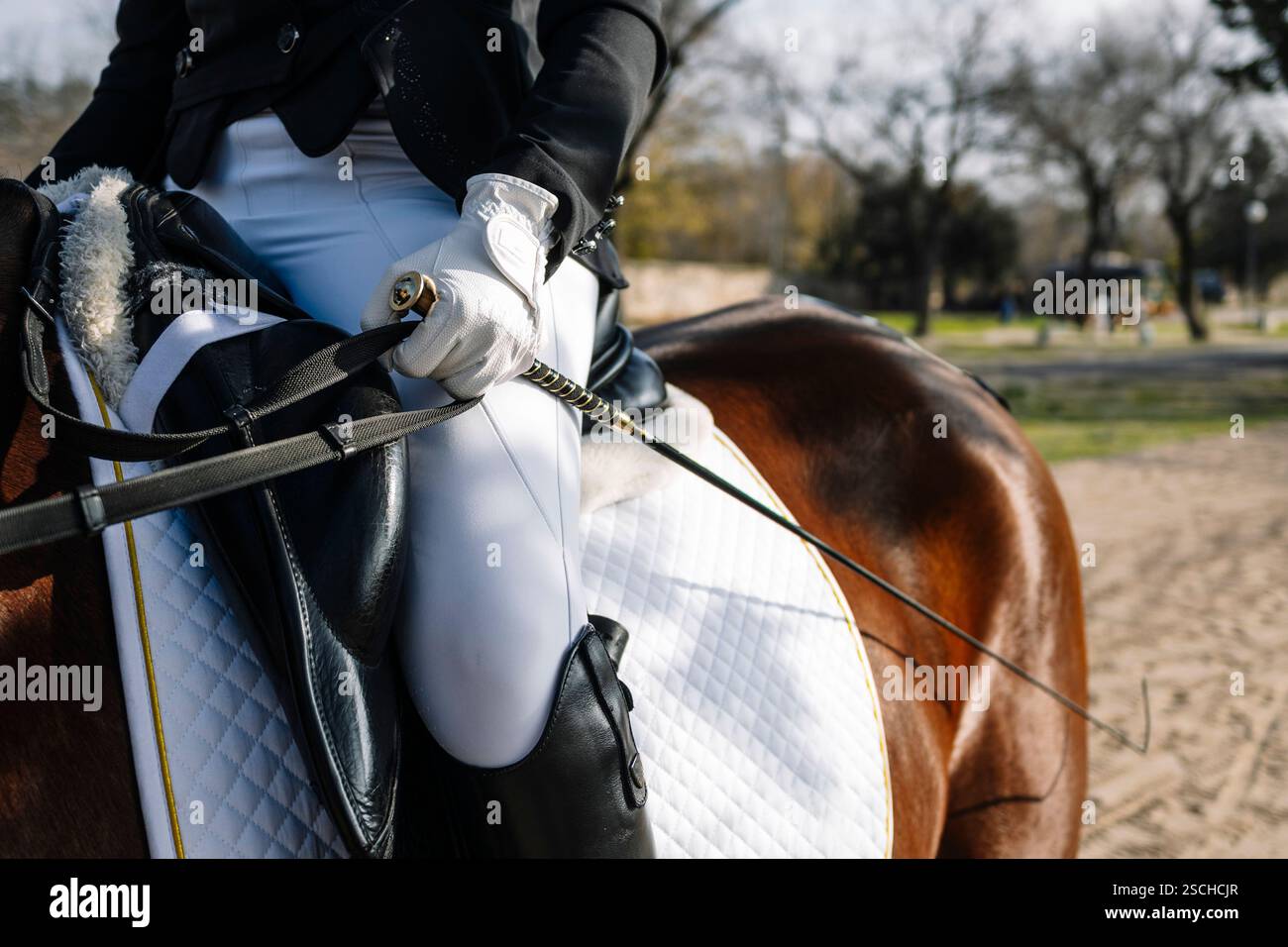 Close-up of a rider on a horse, showcasing the elegance of classical ...
