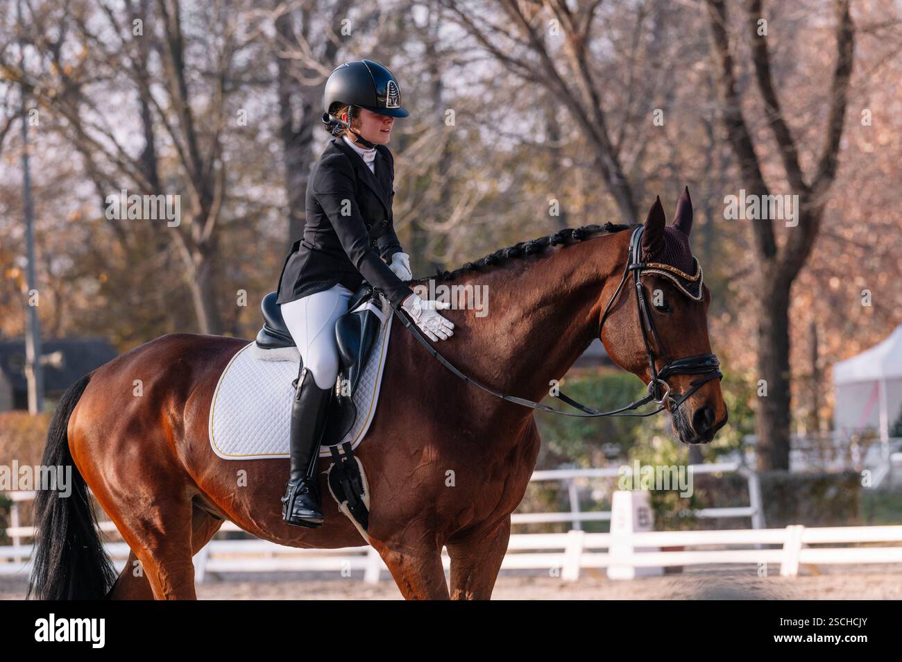 A rider in formal attire on a horse during a dressage event The scene ...