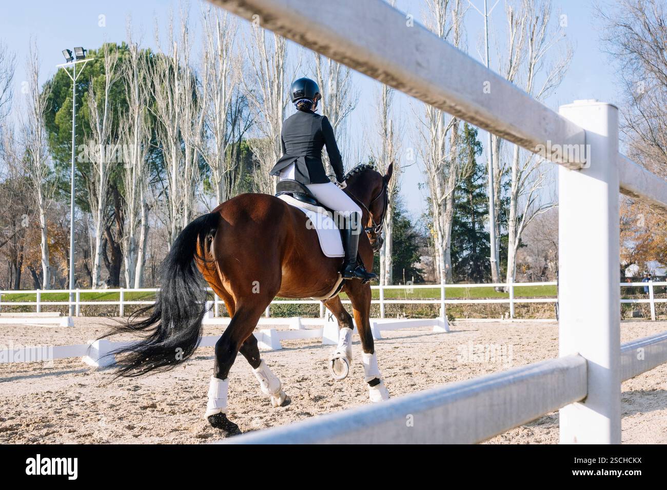 A skilled equestrian rider navigates a graceful horse in an outdoor ...