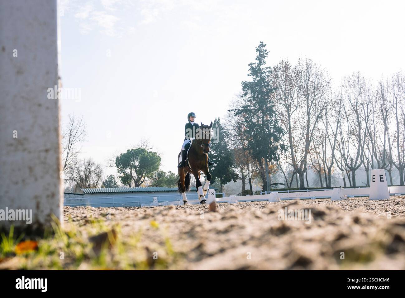 A dressage rider in a helmet guides a horse elegantly across an outdoor ...