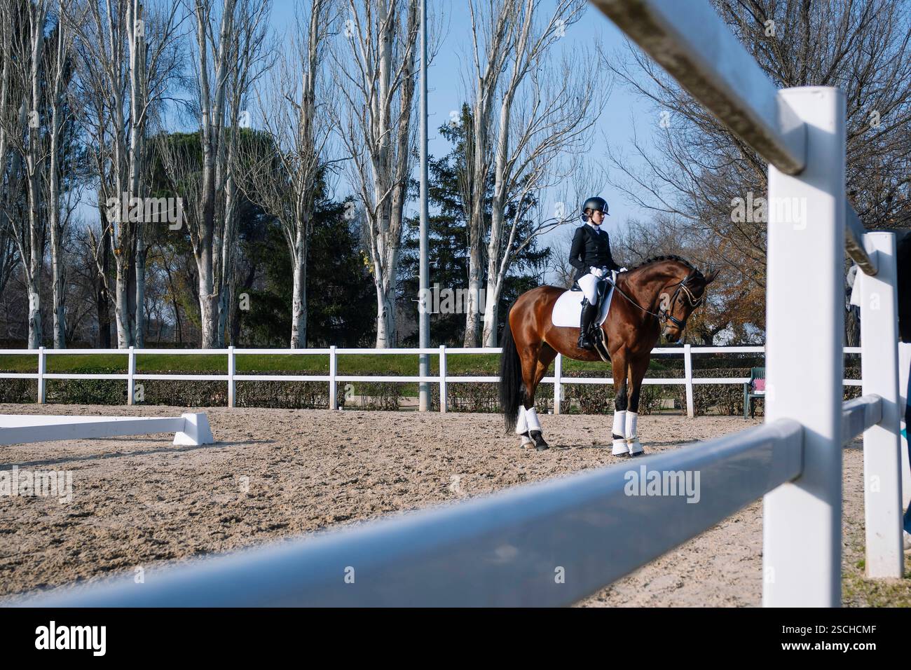 A rider in formal attire practices classical dressage on a chestnut ...