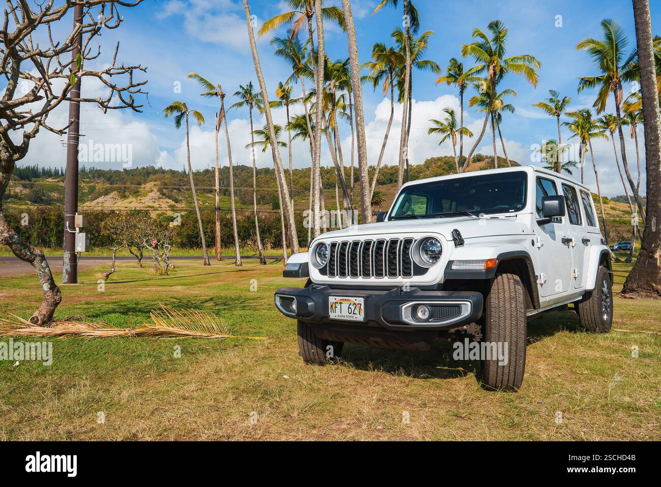 White Jeep Wrangler Parked Among Palm Trees in Hawaii Stock Photo - Alamy
