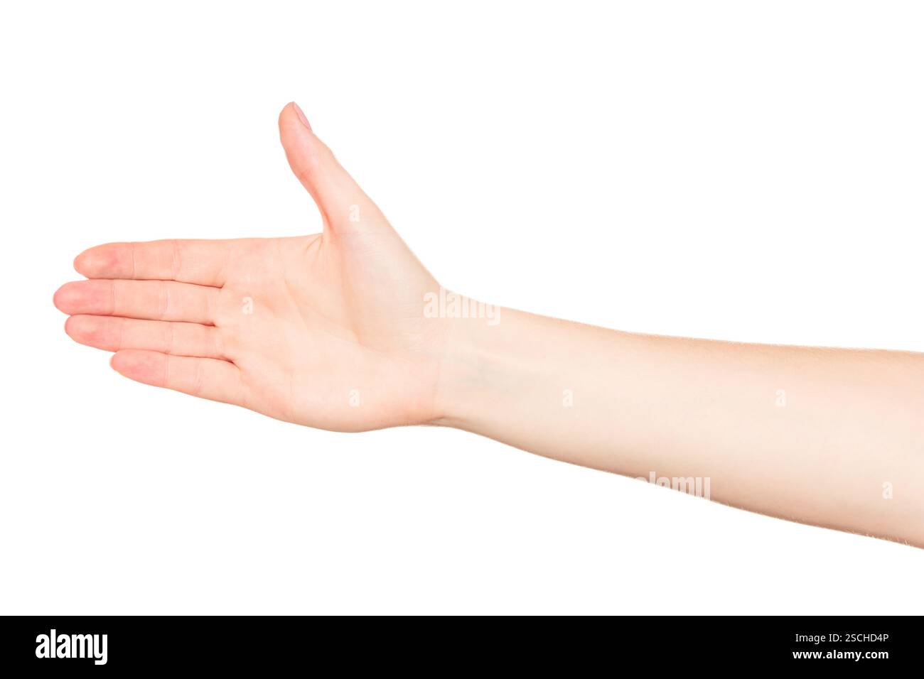 Open hand gesture displayed against a plain background inviting ...