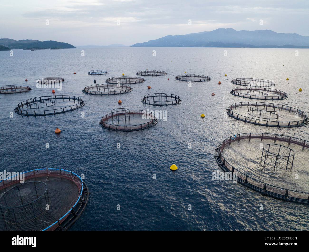 Aerial shot of Aquaculture sea fish Floating farming cages, offshore ...