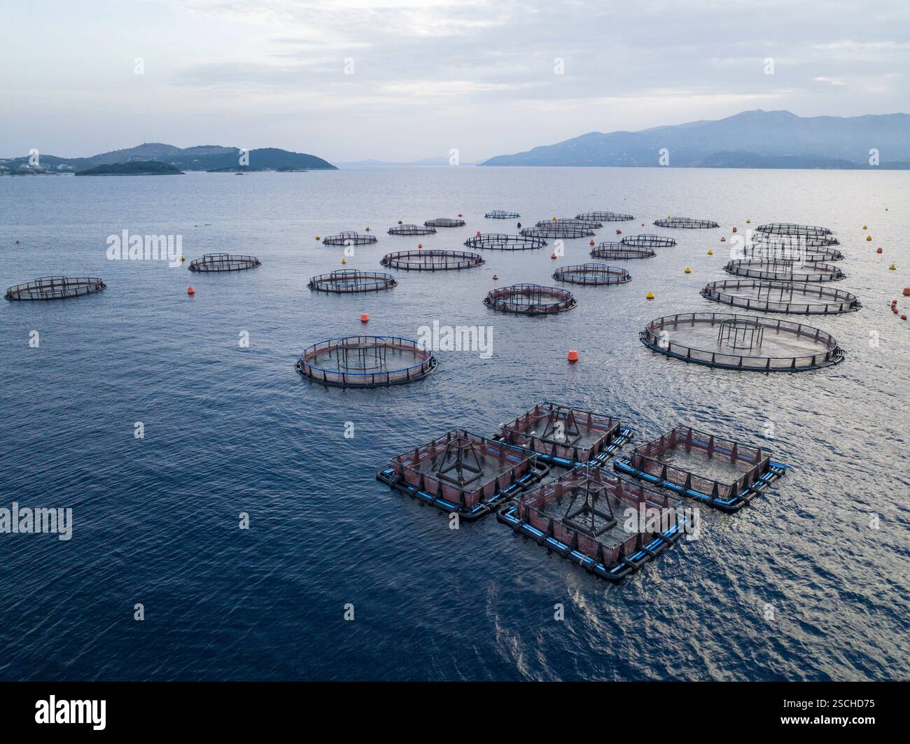 Aerial shot of Aquaculture sea fish Floating farming cages, offshore ...