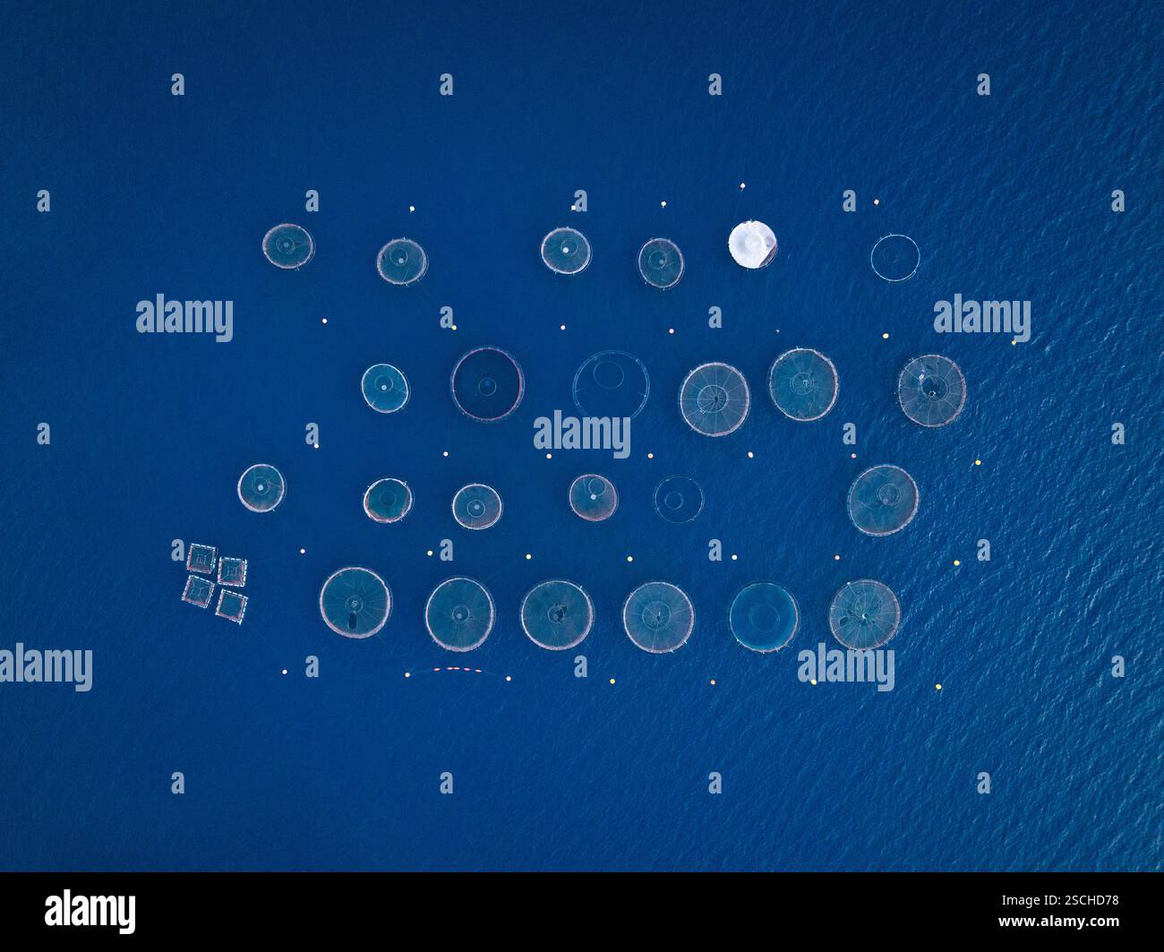 Aerial shot of Aquaculture sea fish Floating farming cages, offshore ...