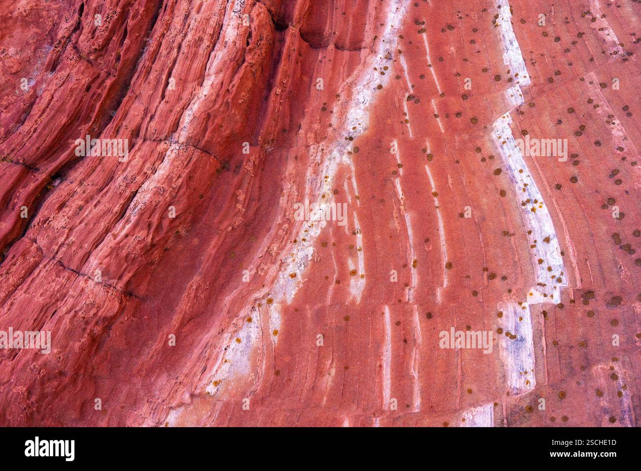 Up-close image capturing the intricate linear erosion patterns and ...