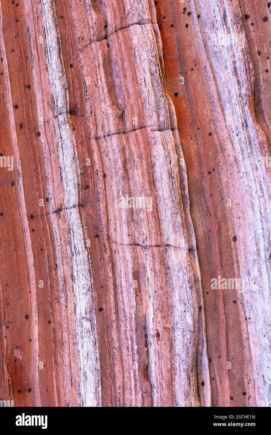 "This image features a detailed close-up view of a red rock surface ...