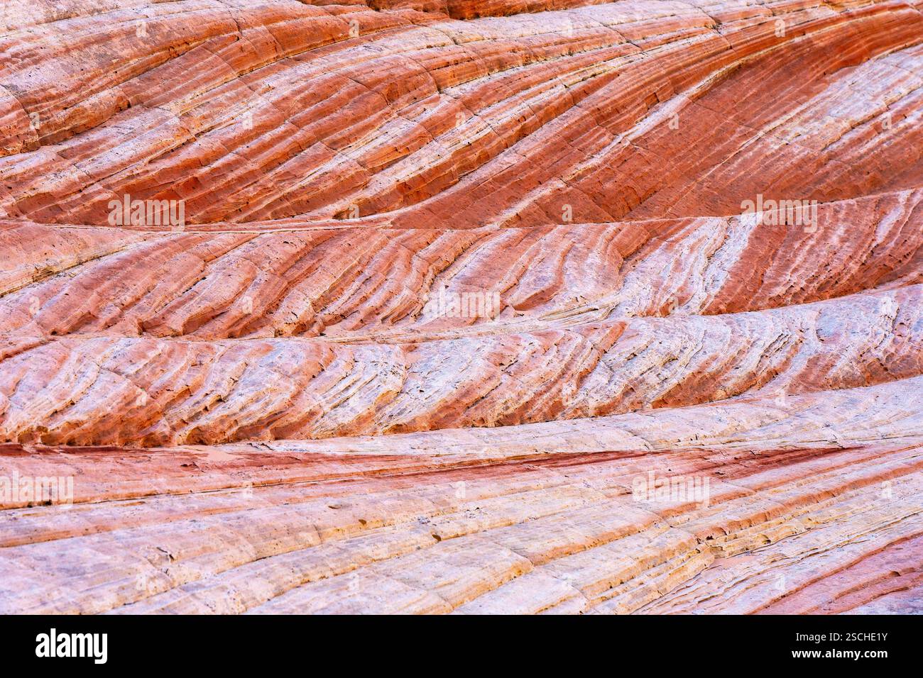 A close-up of naturally textured red rock sediment layers, showcasing ...