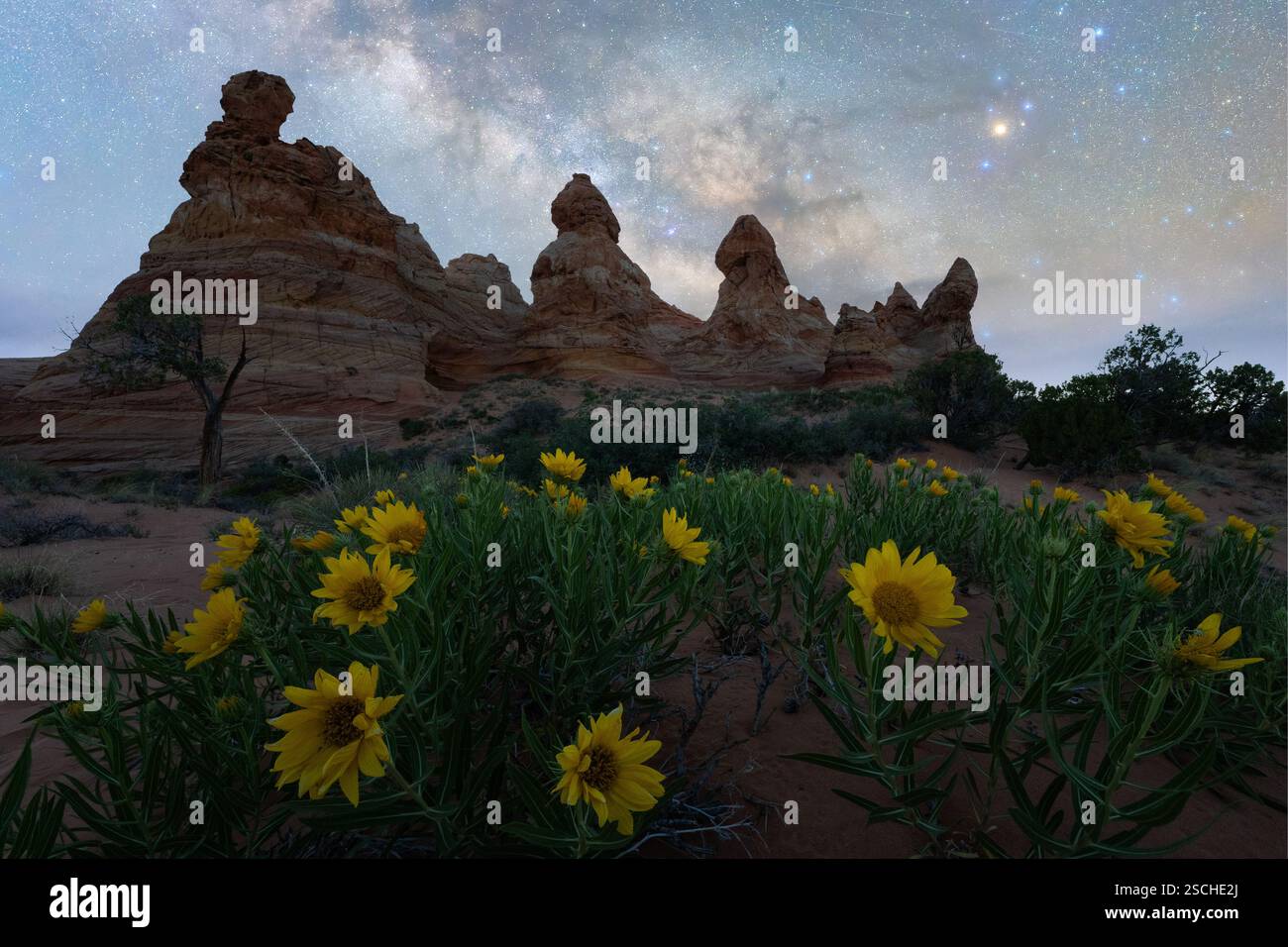 Starry night sky over Coyote Buttes in the Paria Canyon-Vermilion ...