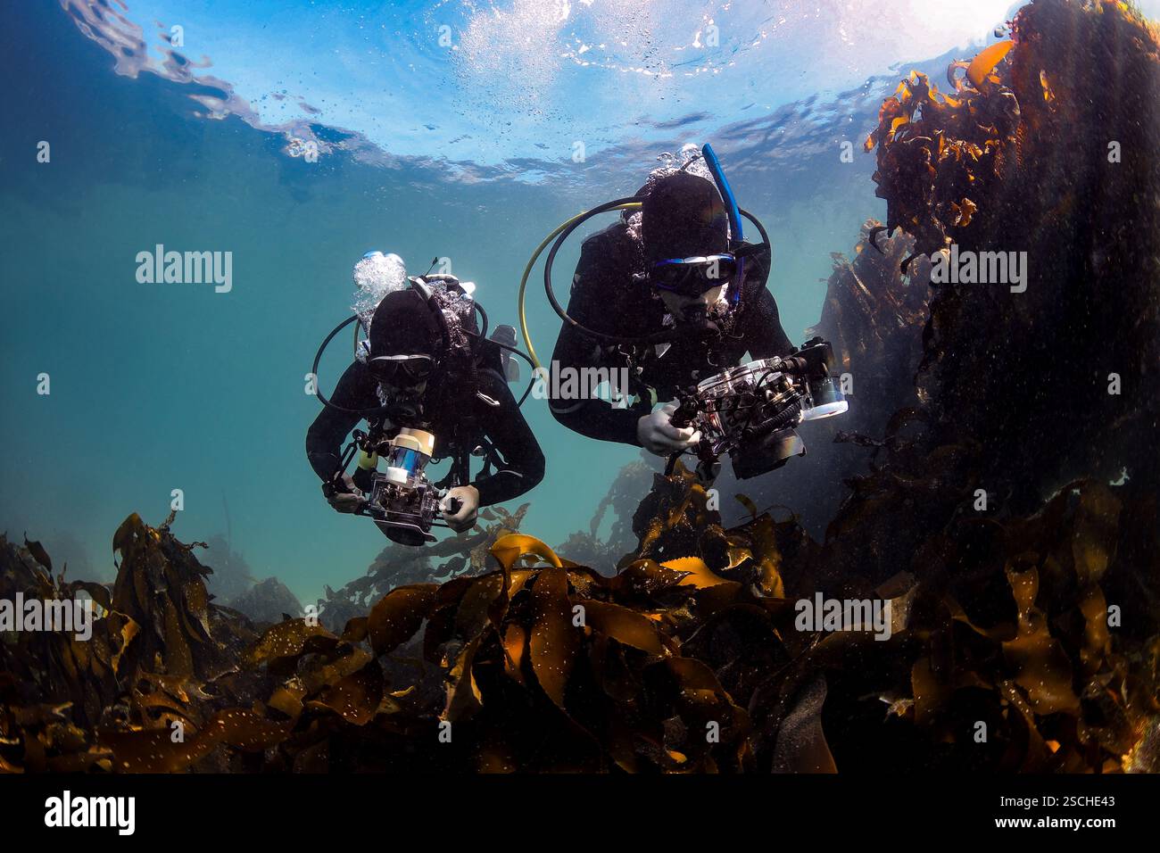 Two scuba divers underwater photographers swimming toward the camera ...