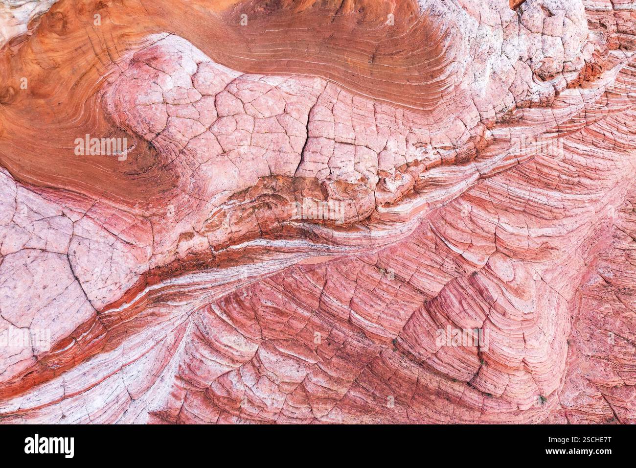 Discover the striking abstract formations and vibrant colors of desert ...