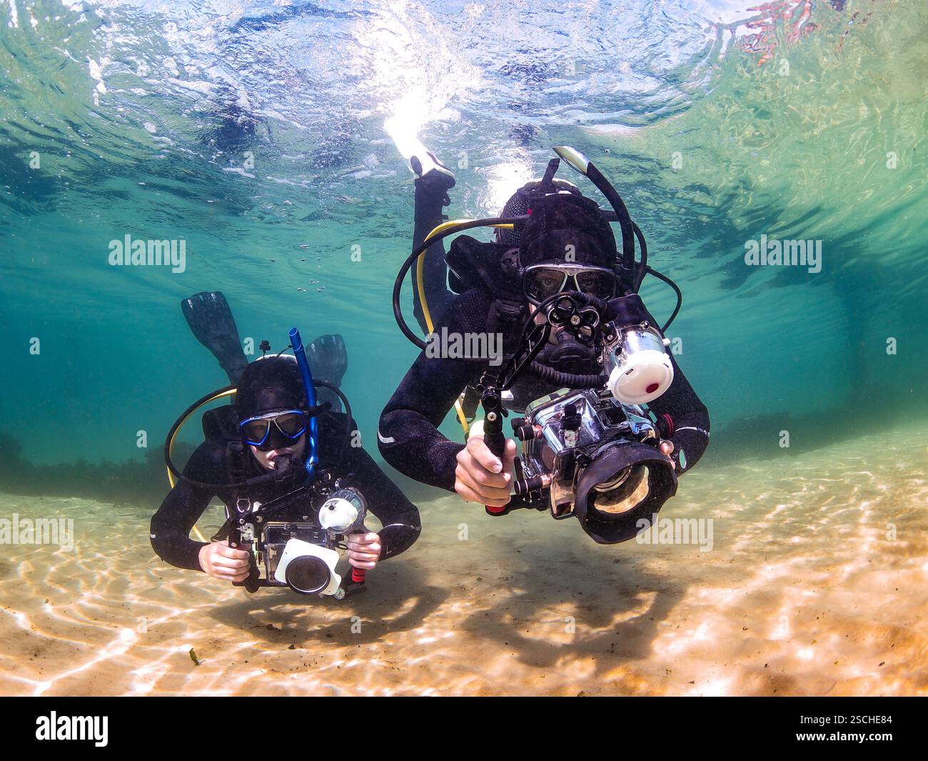 Two people scuba diving underwater hi-res stock photography and images ...