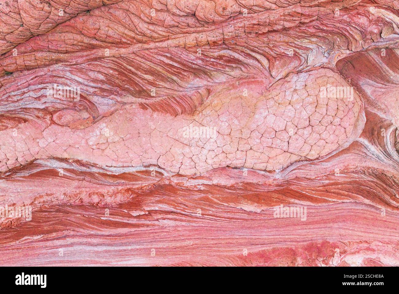 Explore the intricate textures and flowing lines of the Vermilion ...