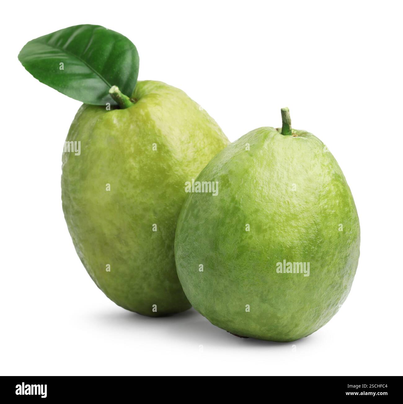 Two fresh guava fruits isolated on white Stock Photo - Alamy