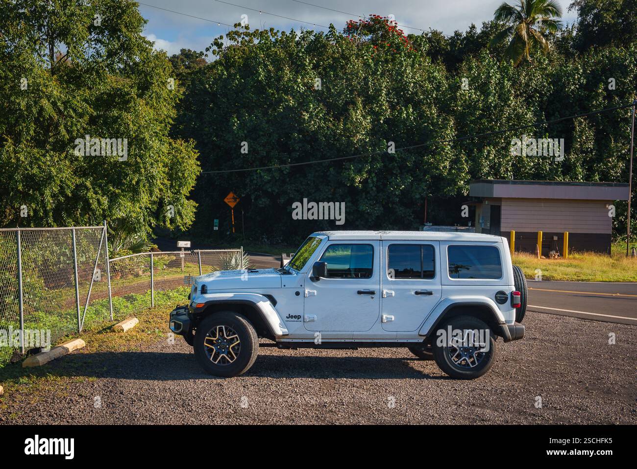 White Jeep Wrangler Parked on Gravel Lot with Tropical Vegetation Stock ...