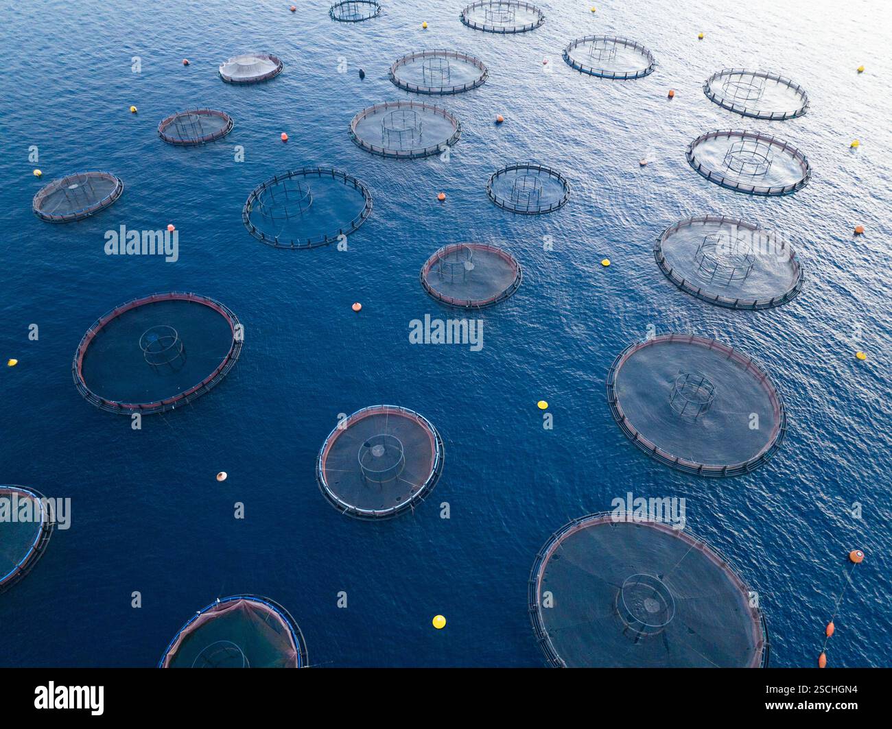 Aerial shot of Aquaculture sea fish Floating farming cages, offshore ...