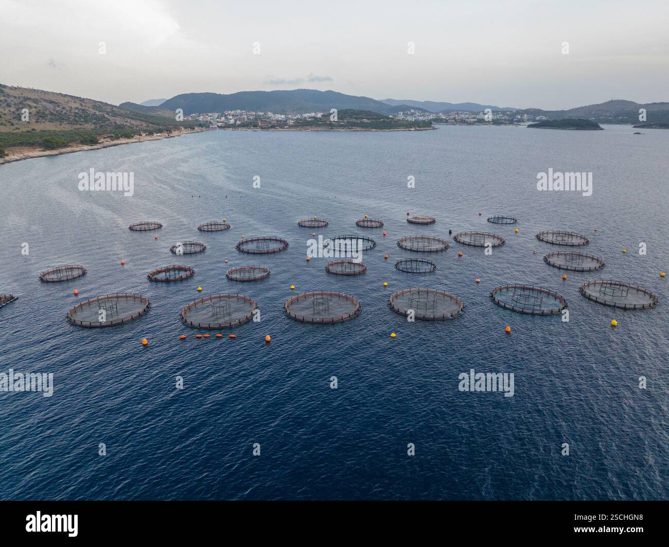 Aerial shot of Aquaculture sea fish Floating farming cages, offshore ...