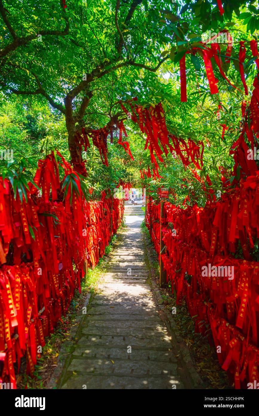 Festive green red ribbons hi-res stock photography and images - Alamy