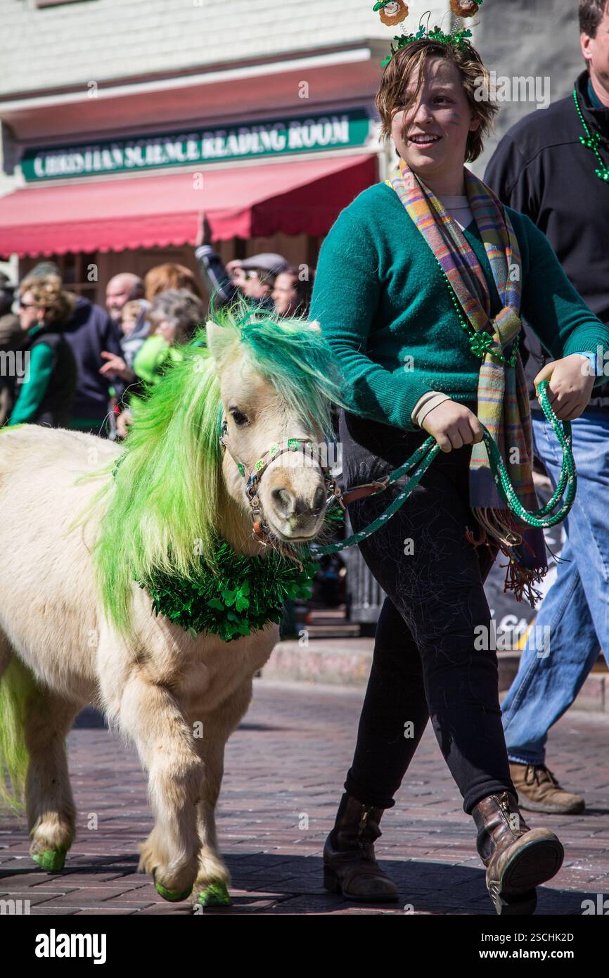 St. Patrick's Day parade: Child leads pony, decorated with green Stock ...