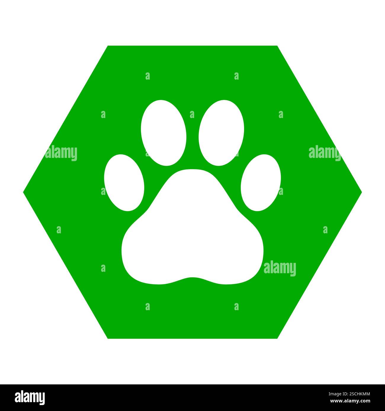 Cat hexagon hi-res stock photography and images - Alamy