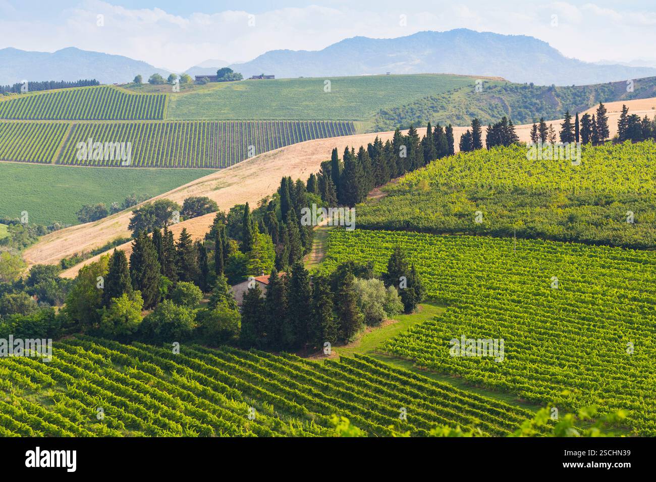 Green area fields italy view hi-res stock photography and images - Alamy