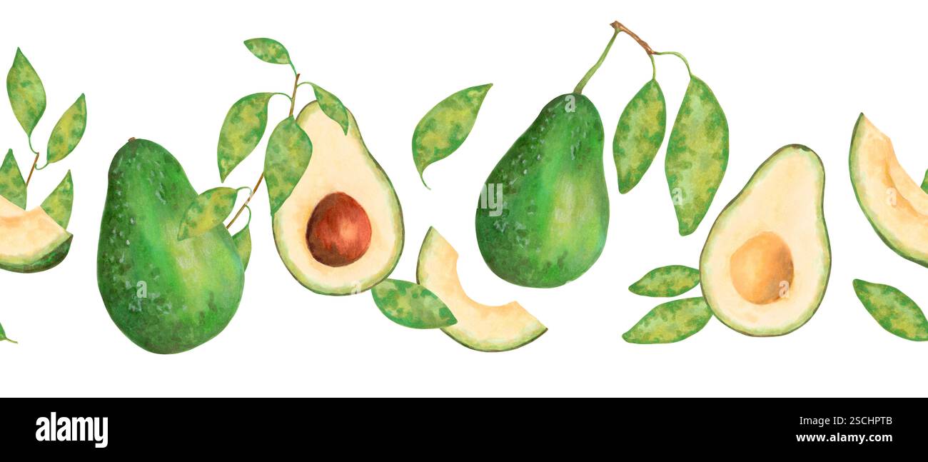 Seamless border with avocado both whole and sliced fruits with leaves ...