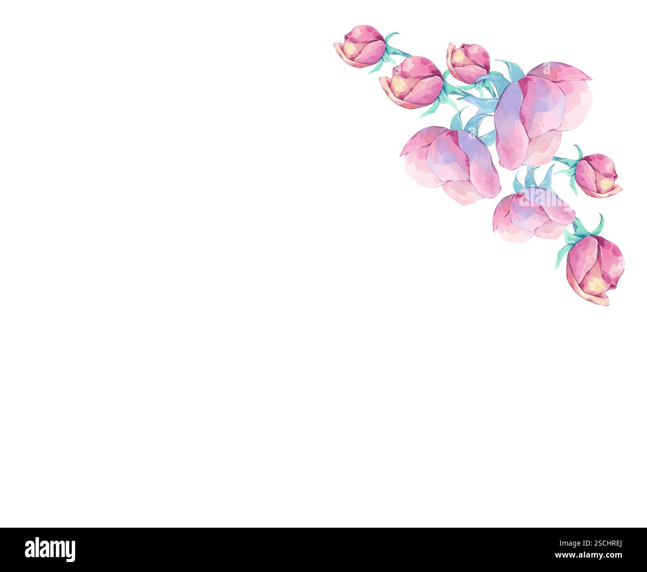 Beautiful blue flowers hand painted with watercolors Stock Photo - Alamy