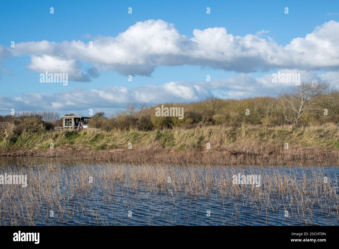 RSPB Pagham Harbour nature reserve, West Sussex, England, UK, an SSSI ...