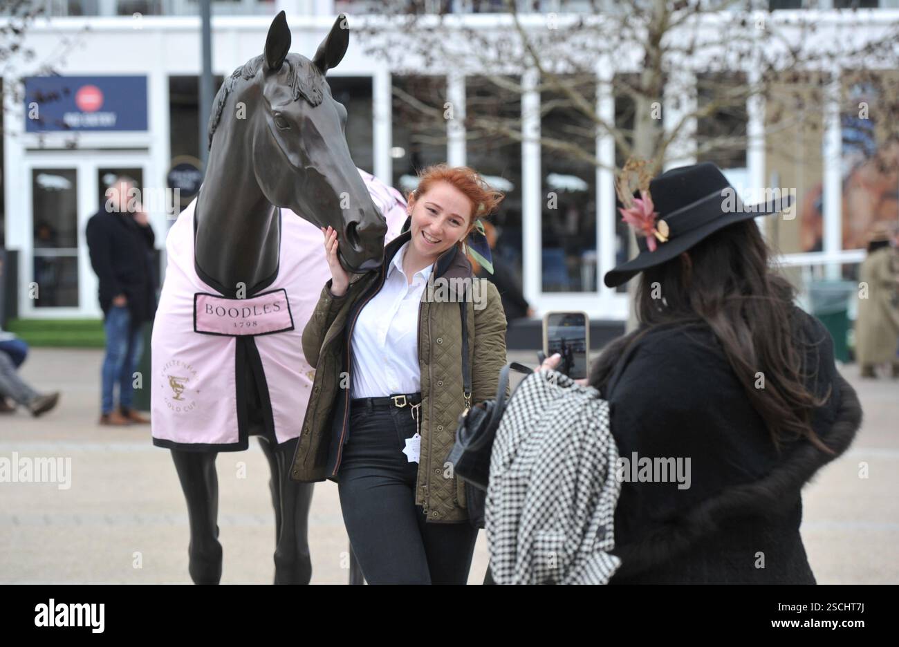 Best mate horse hi-res stock photography and images - Alamy