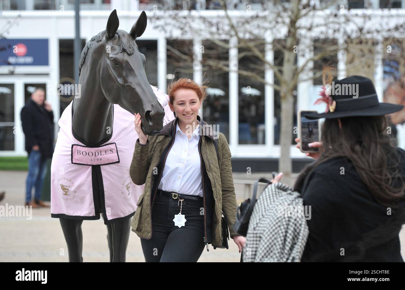 Best mate horse hi-res stock photography and images - Alamy
