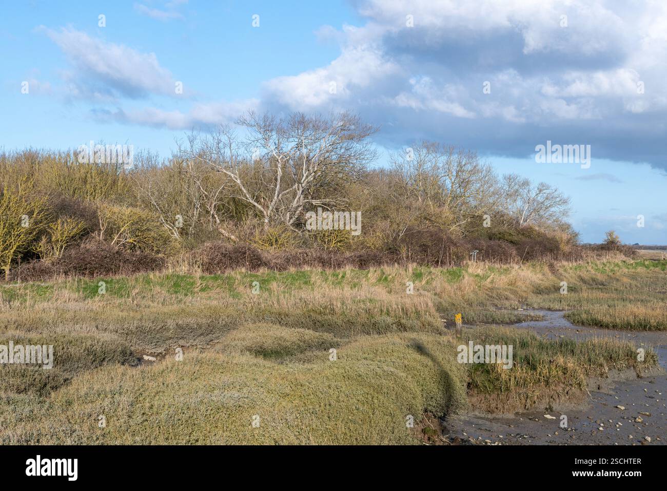 RSPB Pagham Harbour nature reserve, West Sussex, England, UK, an SSSI ...