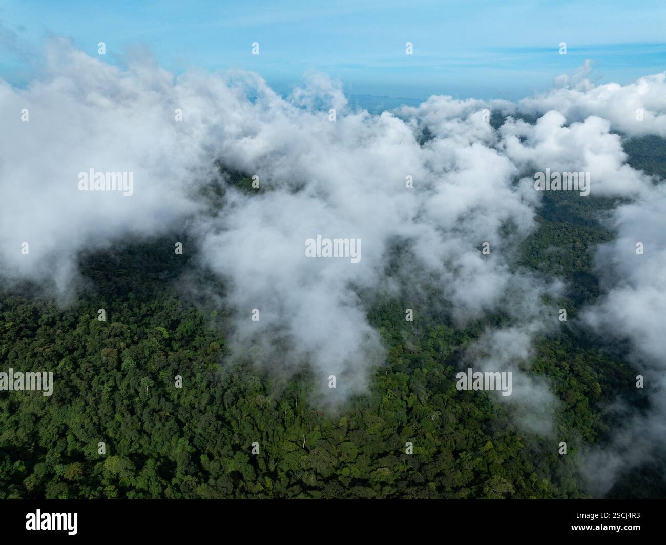 Aerial view Panorama of flowing fog waves on mountain tropical ...
