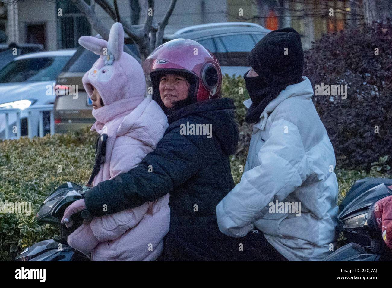 Haian, China. 07th Feb, 2025. HAIAN, CHINA - FEBRUARY 7, 2025 ...