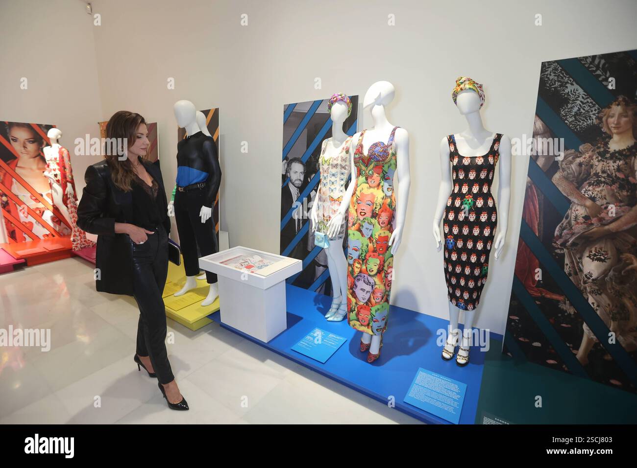 February 6, 2025 (malaga) From the costume of Elton John to the ...