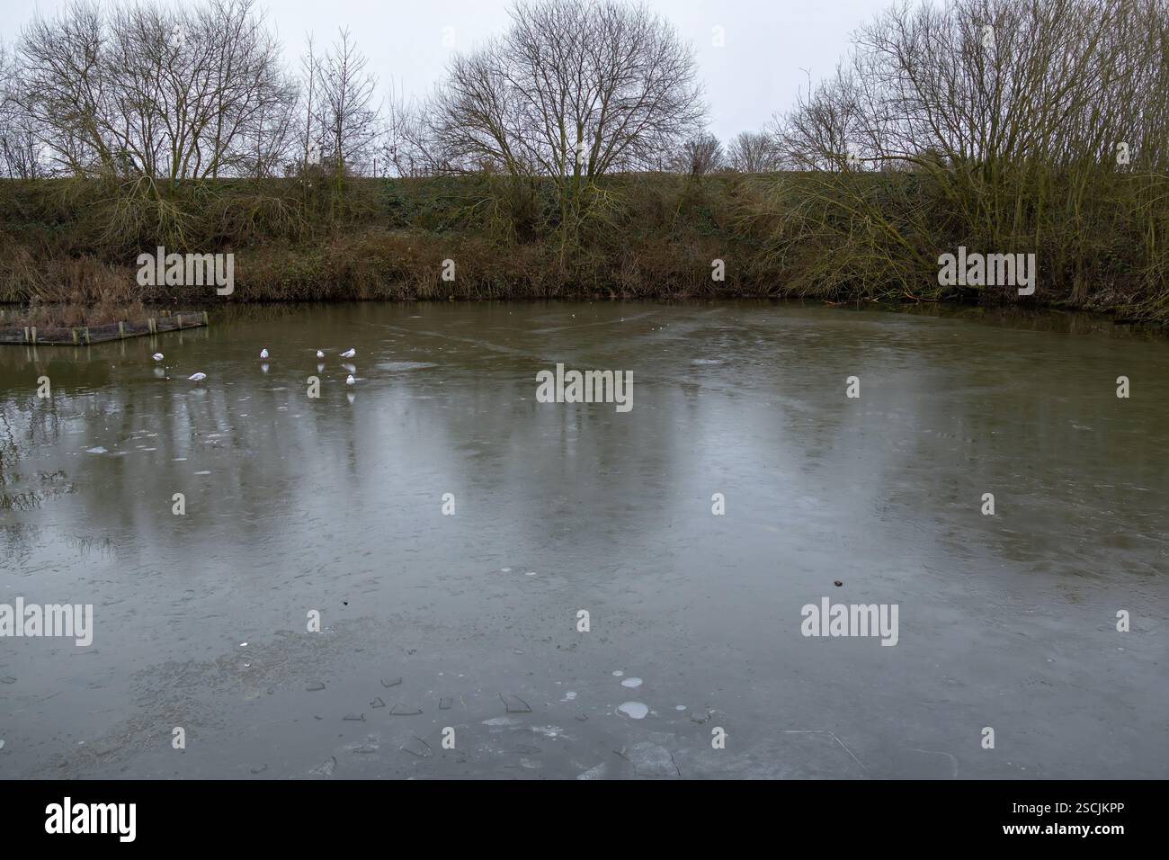 Quiet scene featuring hi-res stock photography and images - Alamy