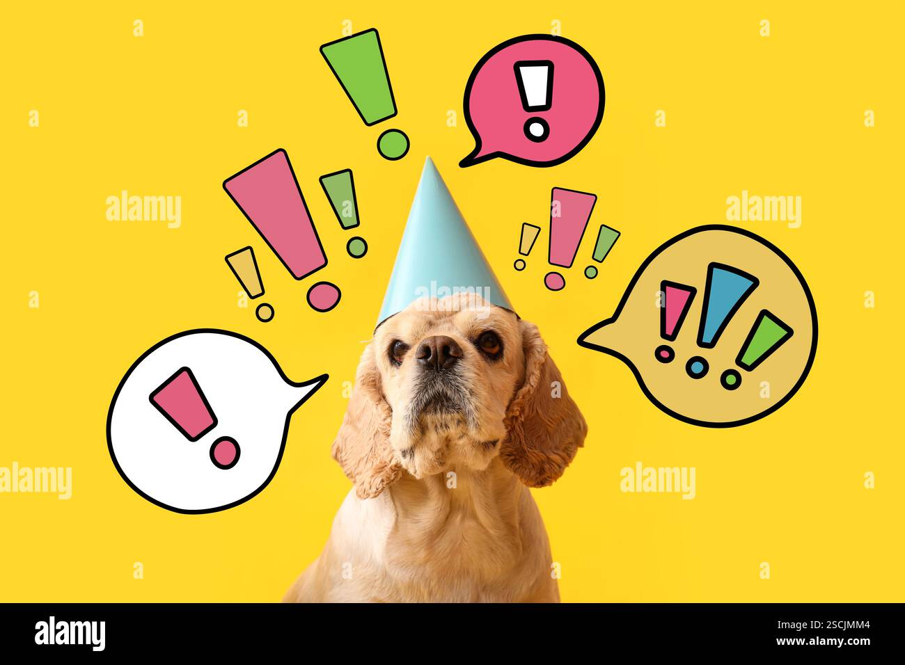 Cute Cocker Spaniel with party hat and exclamation marks on yellow ...