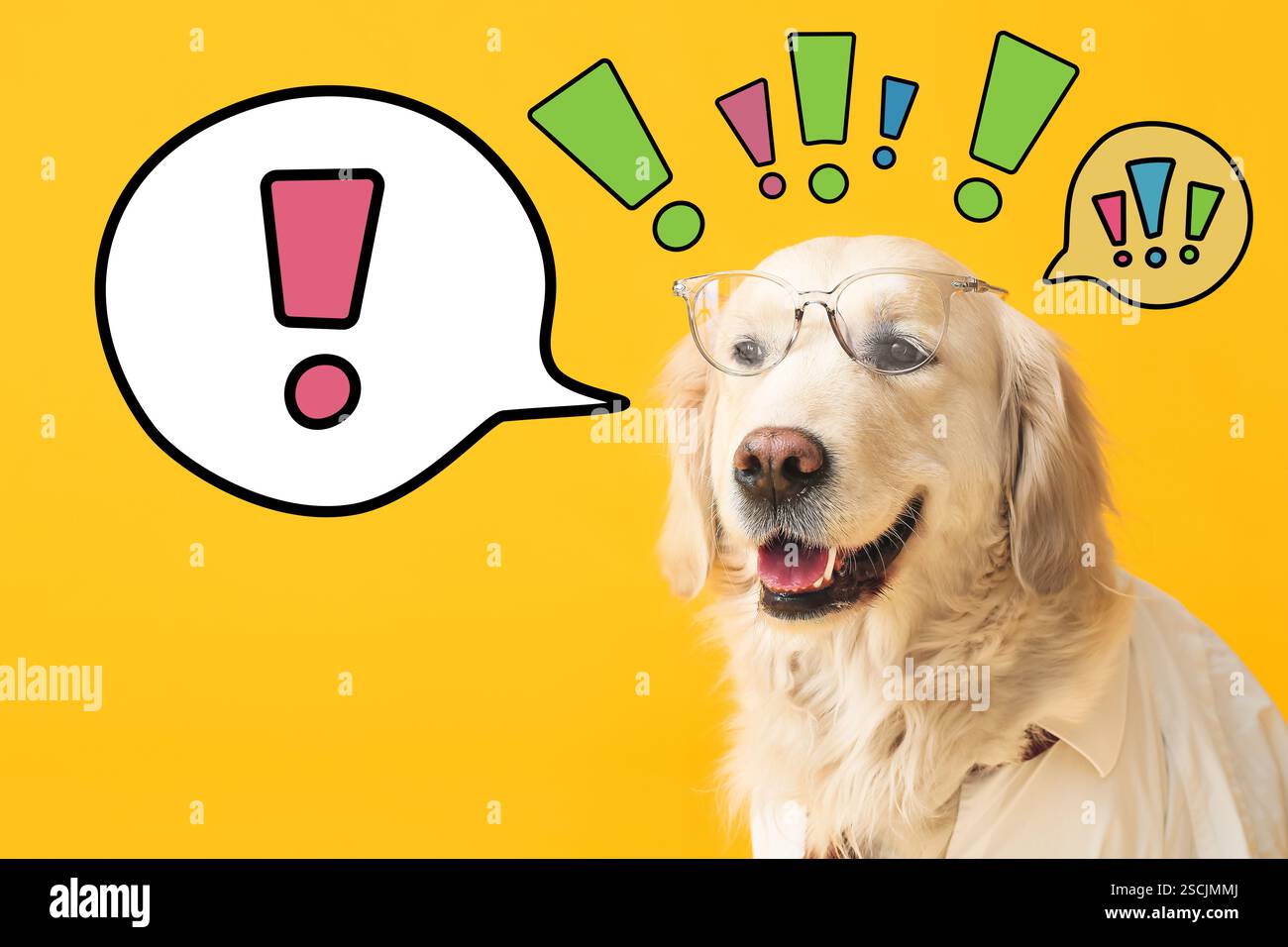 Cute Labrador dog with eyeglasses and exclamation marks on yellow ...