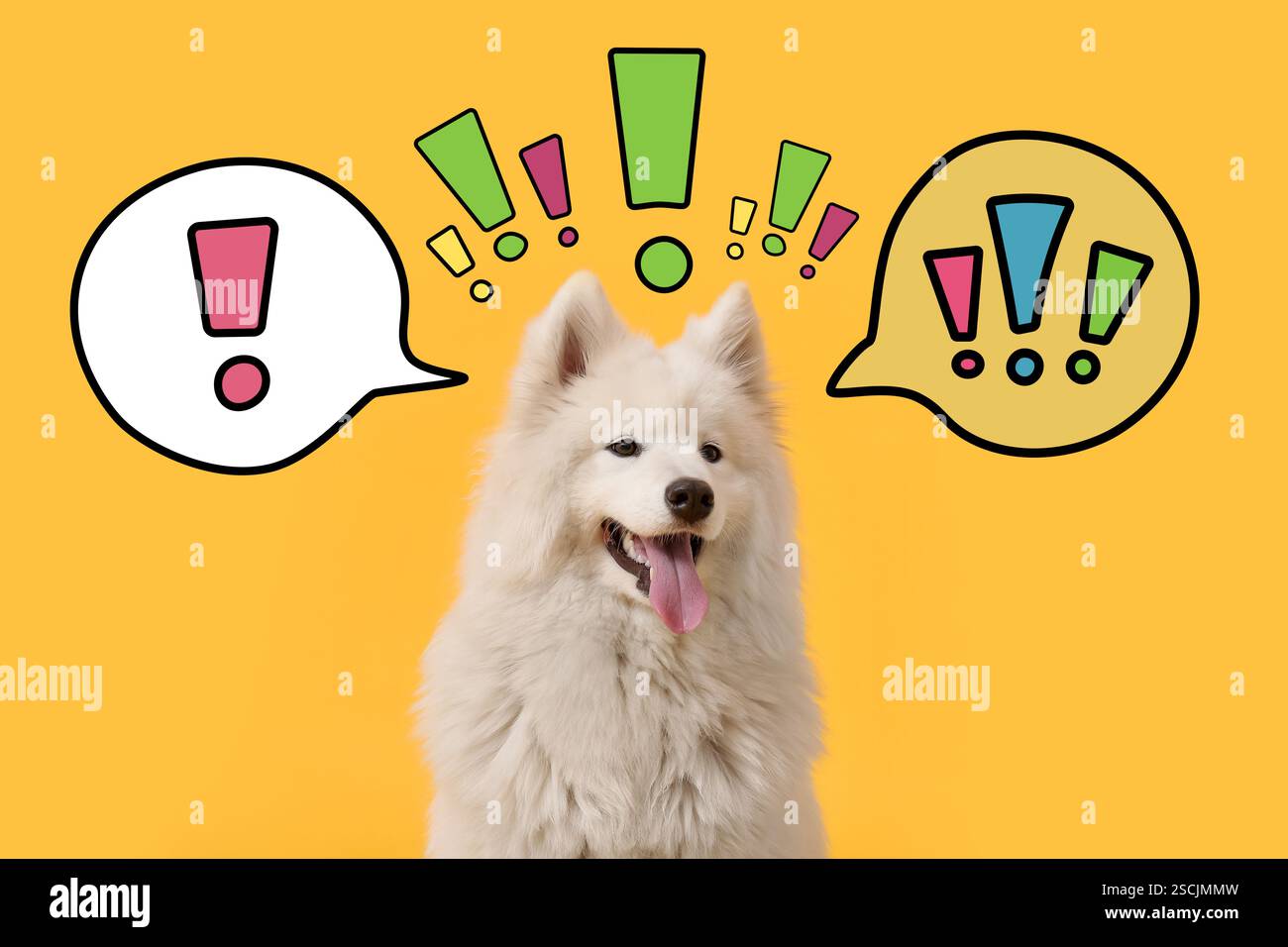 Cute Samoyed dog with exclamation marks on yellow background Stock ...
