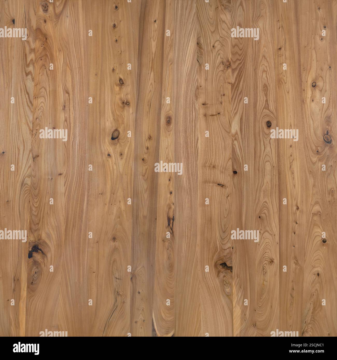 High Resolution Elm Slab Texture Stock Photo - Alamy