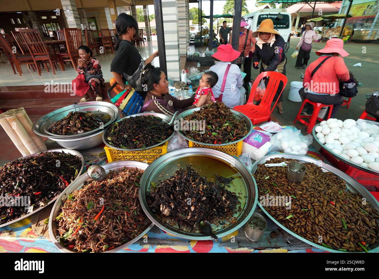 Cambodian vendors sell deep-fried spiders at the town of Skun ...