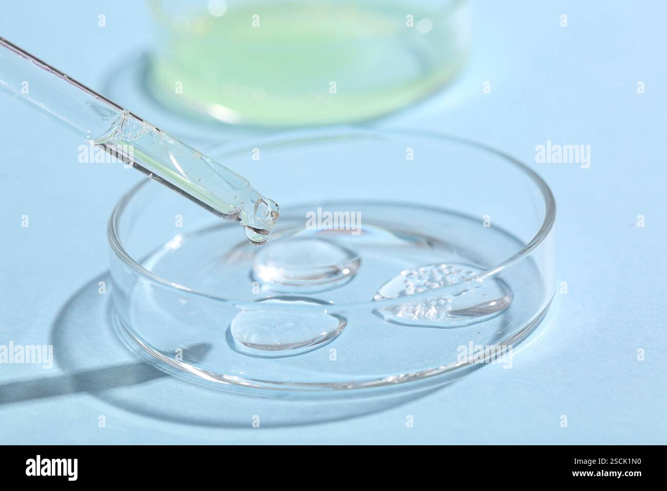 Petri dishes samples pipette hi-res stock photography and images - Alamy