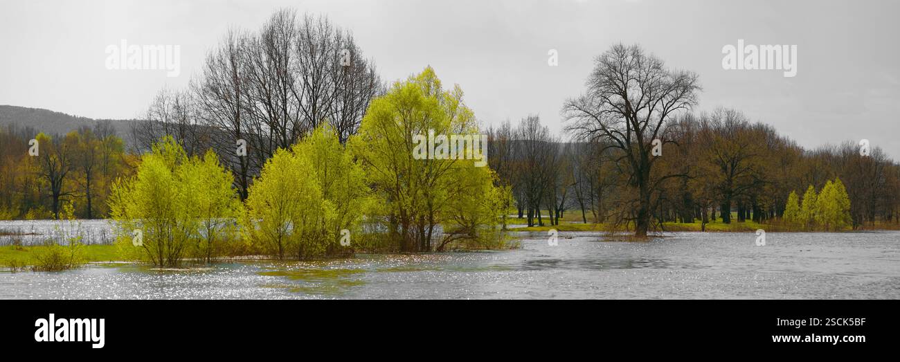Landscape with a river in an open area Stock Photo - Alamy